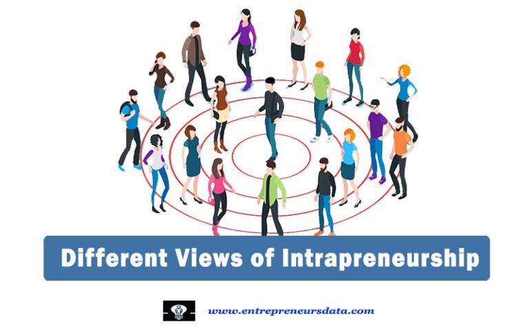 Intrapreneurship | Different Views of Intrapreneurship