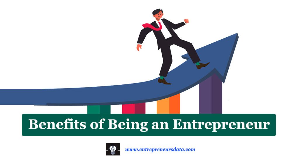 8 Types of Startups in Entrepreneurship with Examples